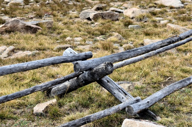 Spirit Walking in the Tundra | Quakers, social justice and revolution